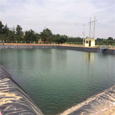 Cina Lunghezza 50m-100m Larghezza 1m-10m Geomembrane in HDPE per stagno di allevamento di pesci e linea di stagno di stagno in vendita