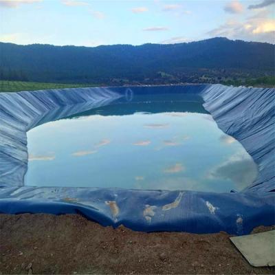 Cina Lunghezza 50m-100m Larghezza 1m-10m Geomembrane in HDPE per stagno di allevamento di pesci e linea di stagno di stagno in vendita
