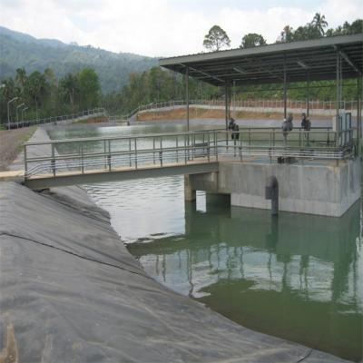Cina Lunghezza 50m-100m Larghezza 1m-10m Geomembrane in HDPE per stagno di allevamento di pesci e linea di stagno di stagno in vendita