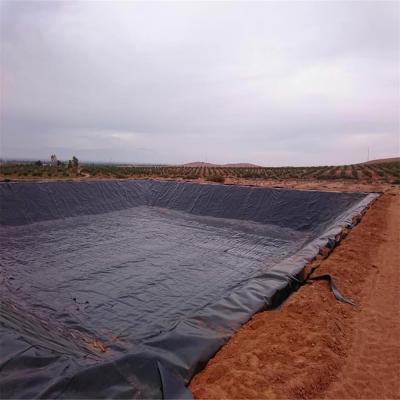 Cina Geomembrana impermeabile in HDPE LDPE per stagni di allevamenti ittici in vendita