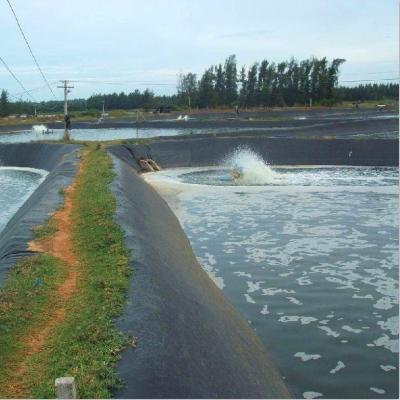 Cina 100% materiale vergine HDPE Geomembrane Pond Liner Stile di progettazione industriale Protezione UV in vendita
