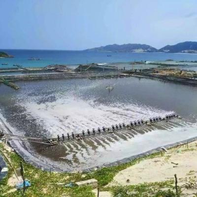 Cina 1m-8m di larghezza foglio di geomembrana 850% allungamento alla rottura per stagno di pesce e gamberetti liner in vendita