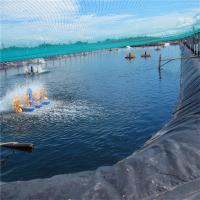 China Custom HDPE Geomembrane Liner for Waterproof Projects Finely Processed and Durable for sale