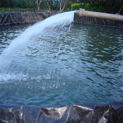 Cina 2 mm HDPE Geomembrane Liner per la costruzione di piscine e resistenza all'invecchiamento in montagna in vendita