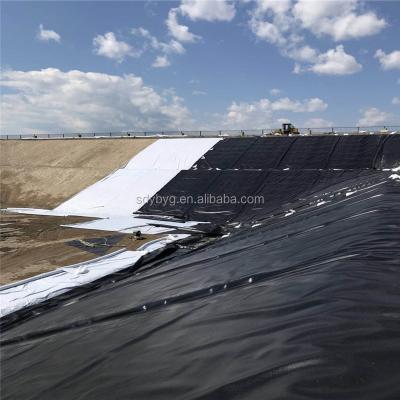 Cina 2 mm HDPE Geomembrane Liner per la costruzione di piscine e resistenza all'invecchiamento in montagna in vendita