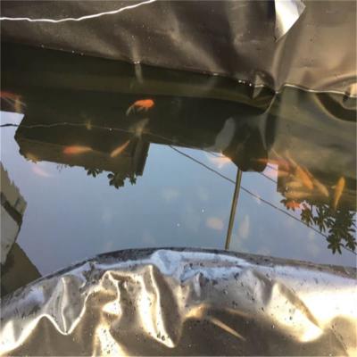 Cina Flessibile e resistente Piastra di stagno in gomma HDPE nera bianca blu per laghi artificiali in vendita