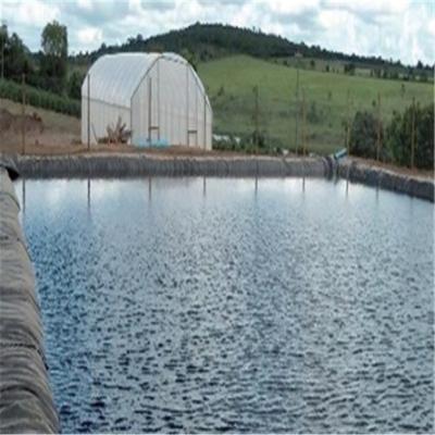 China Geomembrana de HDPE de largura de 1 a 8 m para tratamento de águas residuais oleosas e de solos de minas à venda