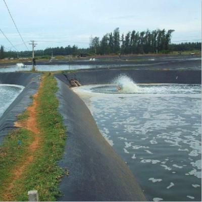Cina Progetti impermeabili per piscine GM13 Geomembrana in HDPE di 1,5 mm di spessore per rivestimenti in gomma per esterni in vendita