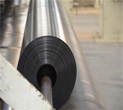 Китай 0.5 мм Геомембрана HDPE плотина для современной рыбной фермы и креветок пруда дизайн продается