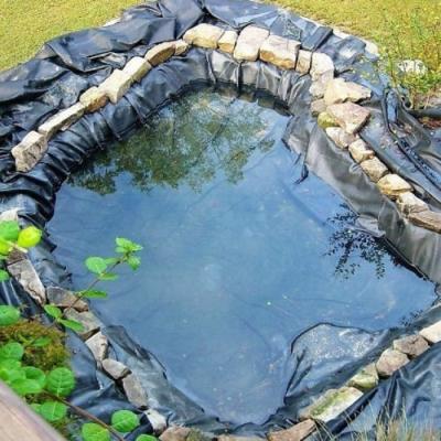 Cina Stile di progettazione dell'acquacoltura Serbatoi di allevamento di tilapia all'interno Geomembrana HDPE Larghezza 1m-8m in vendita