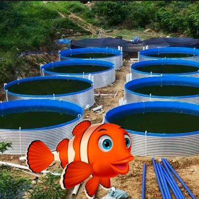 Cina Stile di progettazione dell'acquacoltura Serbatoi di allevamento di tilapia all'interno Geomembrana HDPE Larghezza 1m-8m in vendita