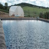 China Recirculating Aquaculture System HDPE Geomembrane for Waterproof Projects in 1m-8m Width for sale