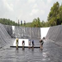 China Recirculating Aquaculture System HDPE Geomembrane for Waterproof Projects in 1m-8m Width for sale