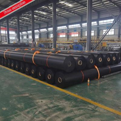Κίνα Ασιατικό Στυλ Σχεδιασμού 1mm Μαύρο HDPE Γεωμεμβράνη Φράγμα Εφοδιασμός για την Προστασία του Περιβάλλοντος προς πώληση