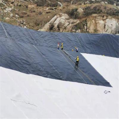 China 1m-8m Breedte Aziatische ontwerp stijl Versterkt HDPE LDPE Geomembrane voor stortplaatsen 1mm 2mm Te koop