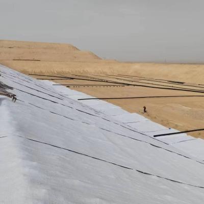Cina Geomembrane industriali per diga di canale idrico e discarica che soddisfano i requisiti del cliente in vendita