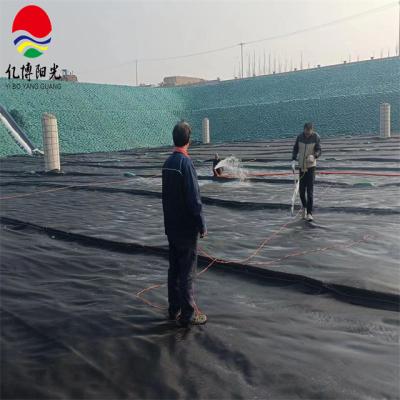 Cina Geomembrana di stagno di allevamento di gamberetti da pesce 0,5 mm-2,0 mm con facile installazione e manutenzione in vendita
