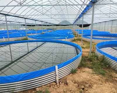 China 0Geomembranen voor vishouderij en stortplaatsen Te koop