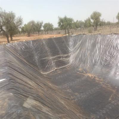 China Professionele HDPE-geomembranen voor stortplaatsen en vishouderijtoepassingen Te koop