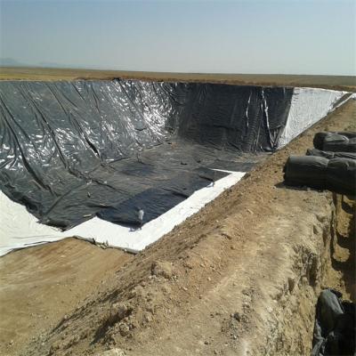 China Professionele HDPE-geomembranen voor stortplaatsen en vishouderijtoepassingen Te koop