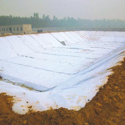 中国 埋立地の水管理のための水道ジオメムラン 複合ゲムブラン 販売のため