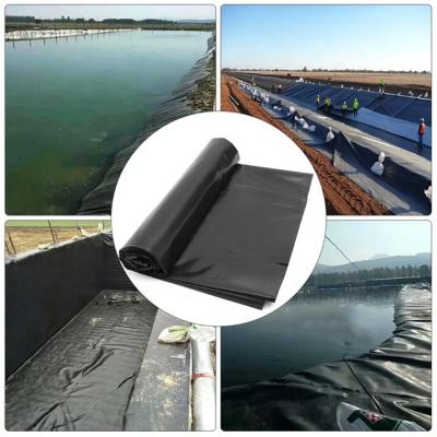 Cina 2m-8m larghezza design stile plastica stagno rivestimento HDPE rivestimento per gamberetti pesce in vendita