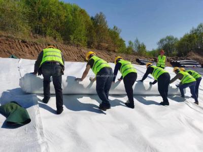 中国 産業設計型 SSS HDPE 地膜 魚場や埋立地の用途 販売のため