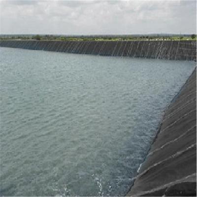 中国 100% 純 HDPE 水産物 ゲオメムラン 池面 幅 1m-8m HDPE ゲオメムラン 販売のため