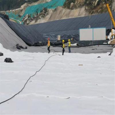 Cina Applicazioni di impermeabilizzazione Scegliere rivestimenti di geomembrana HDPE con lunga durata di vita in vendita