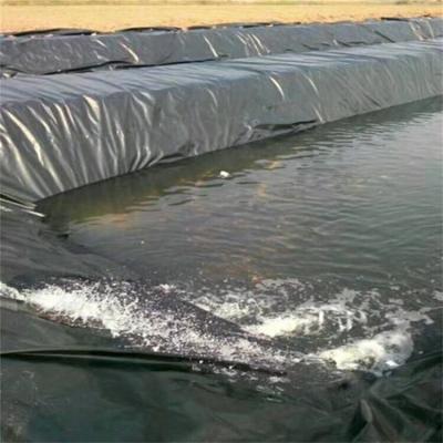 China 0.75mm HDPE Geomembrane Fish Farm Pond Liner voor aquacultuur ASTM GRI-GM13 Standard Te koop