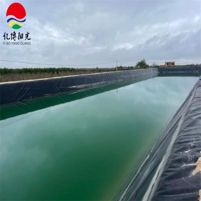 China 0.75mm HDPE Geomembrane Fish Farm Pond Liner voor aquacultuur ASTM GRI-GM13 Standard Te koop