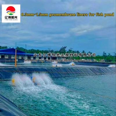 中国 2024 HDPE 地膜 魚の池面 直接供給 調整可能な池の保護 販売のため