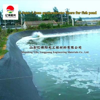 Cina Geomembrana in HDPE 100% vergine da 0,2-2,0 mm per rivestimenti di stagni per pesci e acquacoltura in vendita