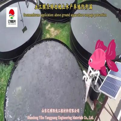 Cina Geomembrana in HDPE 100% vergine da 0,2-2,0 mm per rivestimenti di stagni per pesci e acquacoltura in vendita