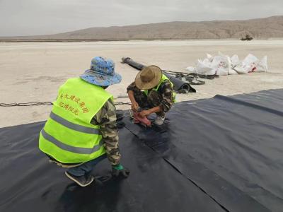 Cina 0.2-2.0 mm Geomembrana in HDPE per rivestimenti di stagni di pesce in polietilene impermeabile in vendita