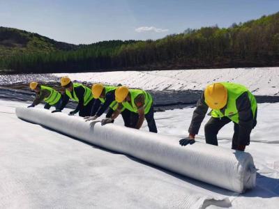 中国 1.0-2.0mm HDPE 地膜内膜 防水埋立物 プロジェクト 白色 販売のため