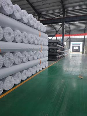 Cina 0.3-2.0mm Geomembrana di HDPE rivestimenti Protezione durevole per l'acquacoltura Pesce gamberetti stagno in vendita