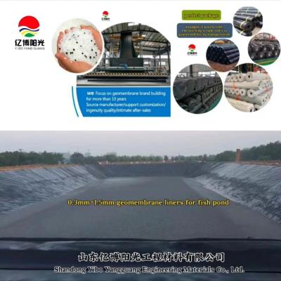 Cina 1m-8m di larghezza Geomembrane per rivestimenti di stagni per pesci Spessore 0,1-2,0 mm in vendita
