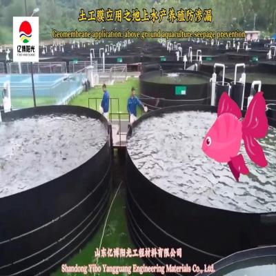 Cina Biofloc Tarpaulin Fish Tank Farming Pond Liner con geomembrana in LLDPE HDPE 0,75 mm 1 mm in vendita