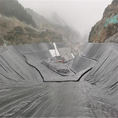 Cina 60 mil HDPE Geomembrane Sheet Geomembrane impermeabile HDPE 1 mm 1,5 mm Geomembrane in vendita