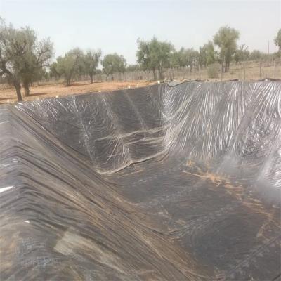 Cina 0.2mm-3mm Spessore Polietilene ad alta densità Geomembrana Liner per Biofloc Fish Tank in vendita