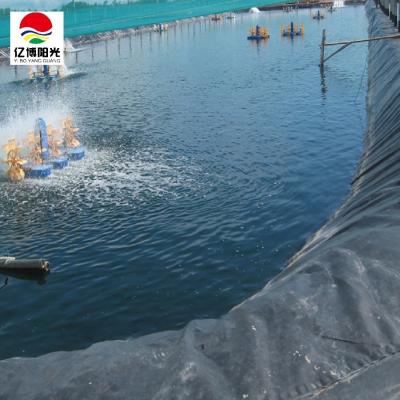 Cina Geomembrana in HDPE larghezza 1-8m per progetti impermeabili per rivestimenti per gamberetti in vendita