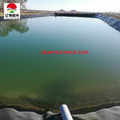 Cina 300micron-1000micron Long-life Fish Pond Liner Reservoir Liner con campioni gratuiti in vendita