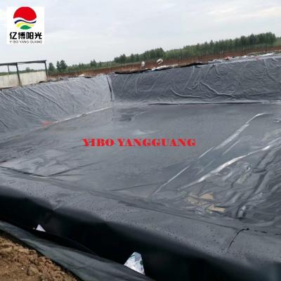 Cina 300micron-1000micron Long-life Fish Pond Liner Reservoir Liner con campioni gratuiti in vendita