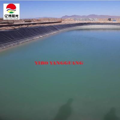 Cina Geomembrane di stagno di pesci saldate da 10 x 20 m Geomembrane durevoli per progetti impermeabili in vendita