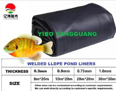 Cina 0Spessore.2 mm-3 mm Geomembrana di LLDPE completamente saldata per l'acquacoltura Larghezza 1m-8m in vendita