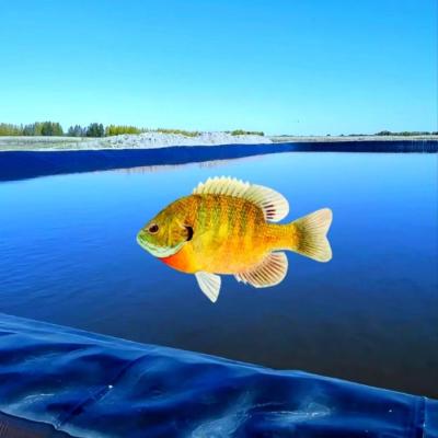 Cina Prodotti in HDPE per l'acquacoltura, stagni, piscine, serbatoi e dighe in vendita