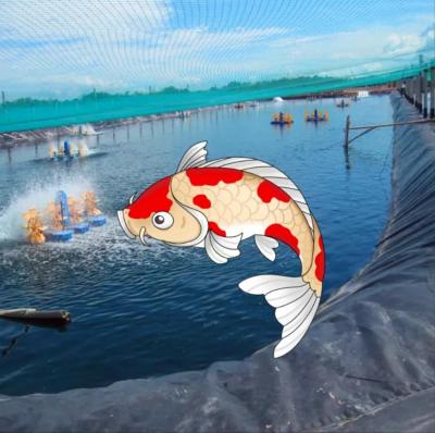 Cina Geomembrane personalizzabili per l'acquacoltura stagni piscine serbatoi e rivestimenti di dighe in vendita