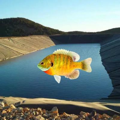 Cina Geomembrane personalizzabili per l'acquacoltura stagni piscine serbatoi e rivestimenti di dighe in vendita