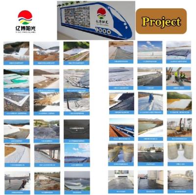 中国 工業用用液晶 HDPE 地膜埋立場敷き布団 販売のため